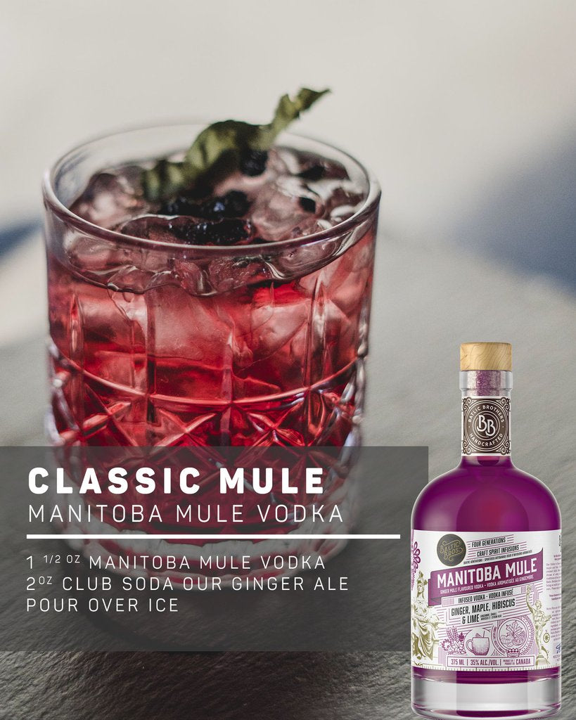 Classic Mule Cocktail – Baltic Bros Craft Cocktail Infusions